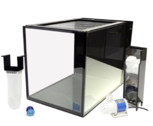 AIO - Singapore Reef Club - Marine Reef saltwater Aquarium tank ...